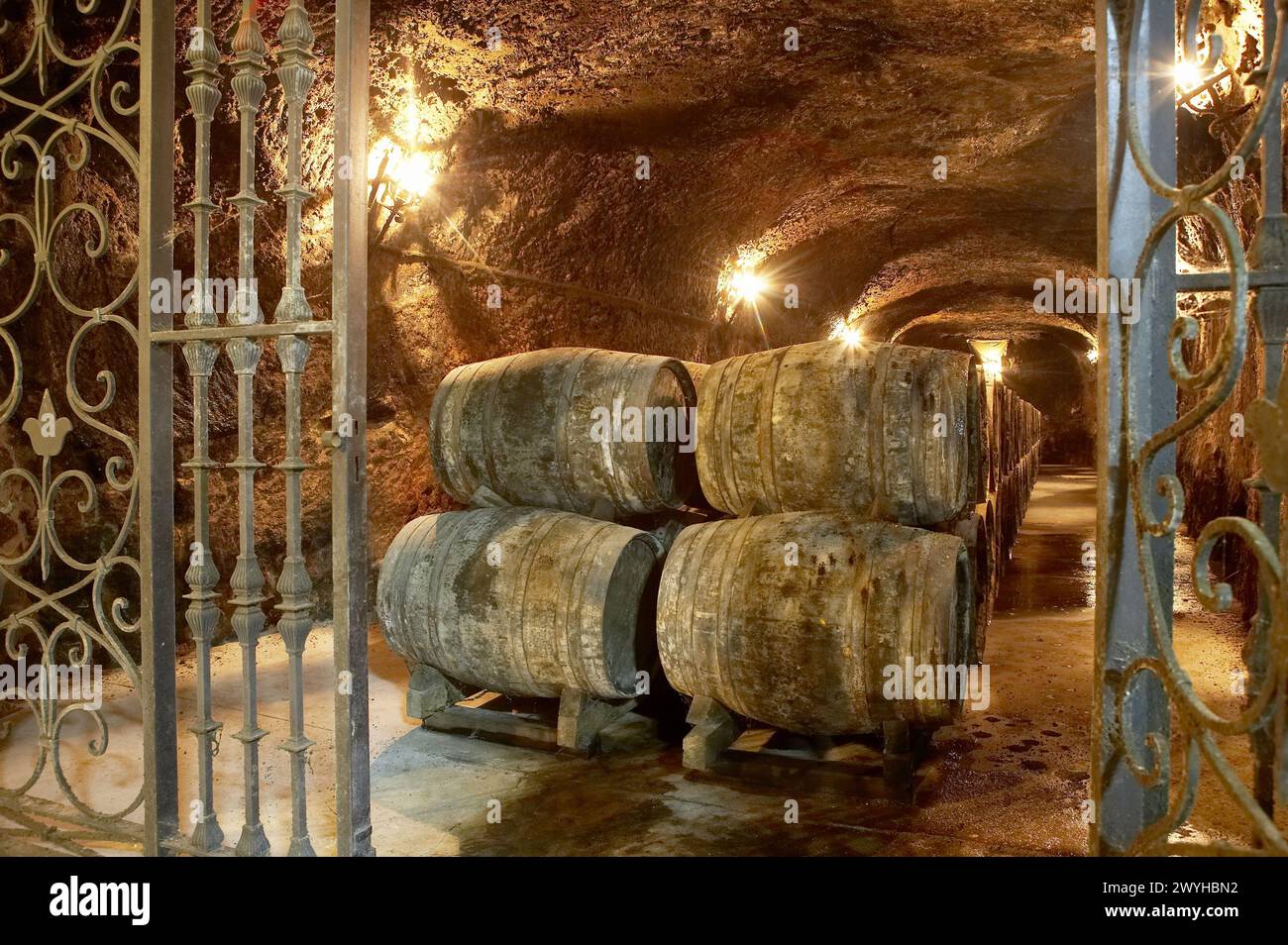 Maturing Rioja wine in oak casks. Bodegas Virgen del Valle, Samaniego ...