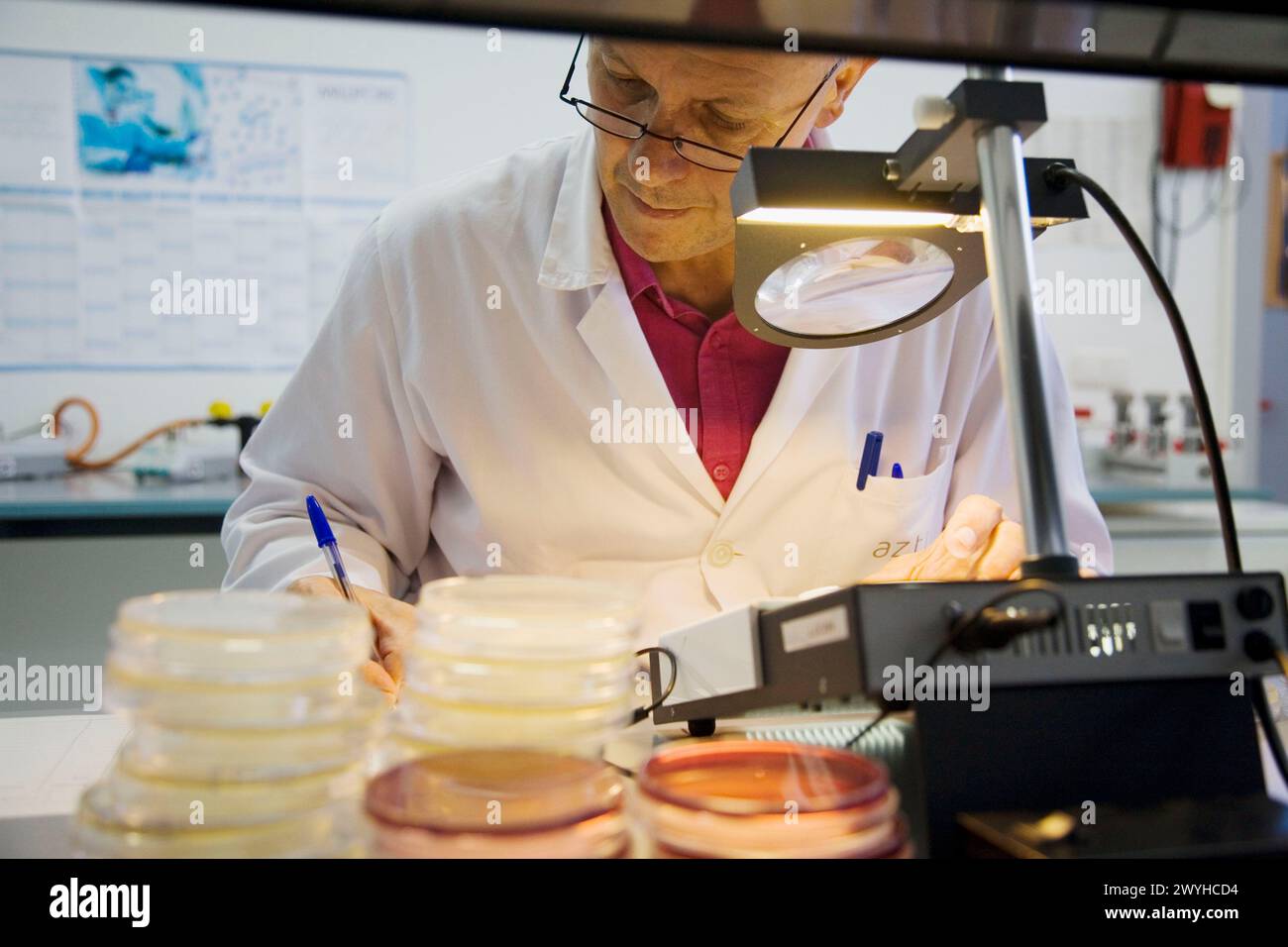 Bacteries count. Microbiology Laboratory. Microbiological analysis of food. AZTI-Tecnalia ...