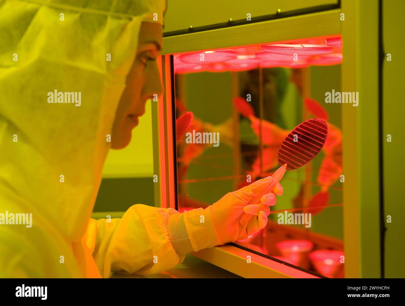 Infrared dryer hi-res stock photography and images - Alamy