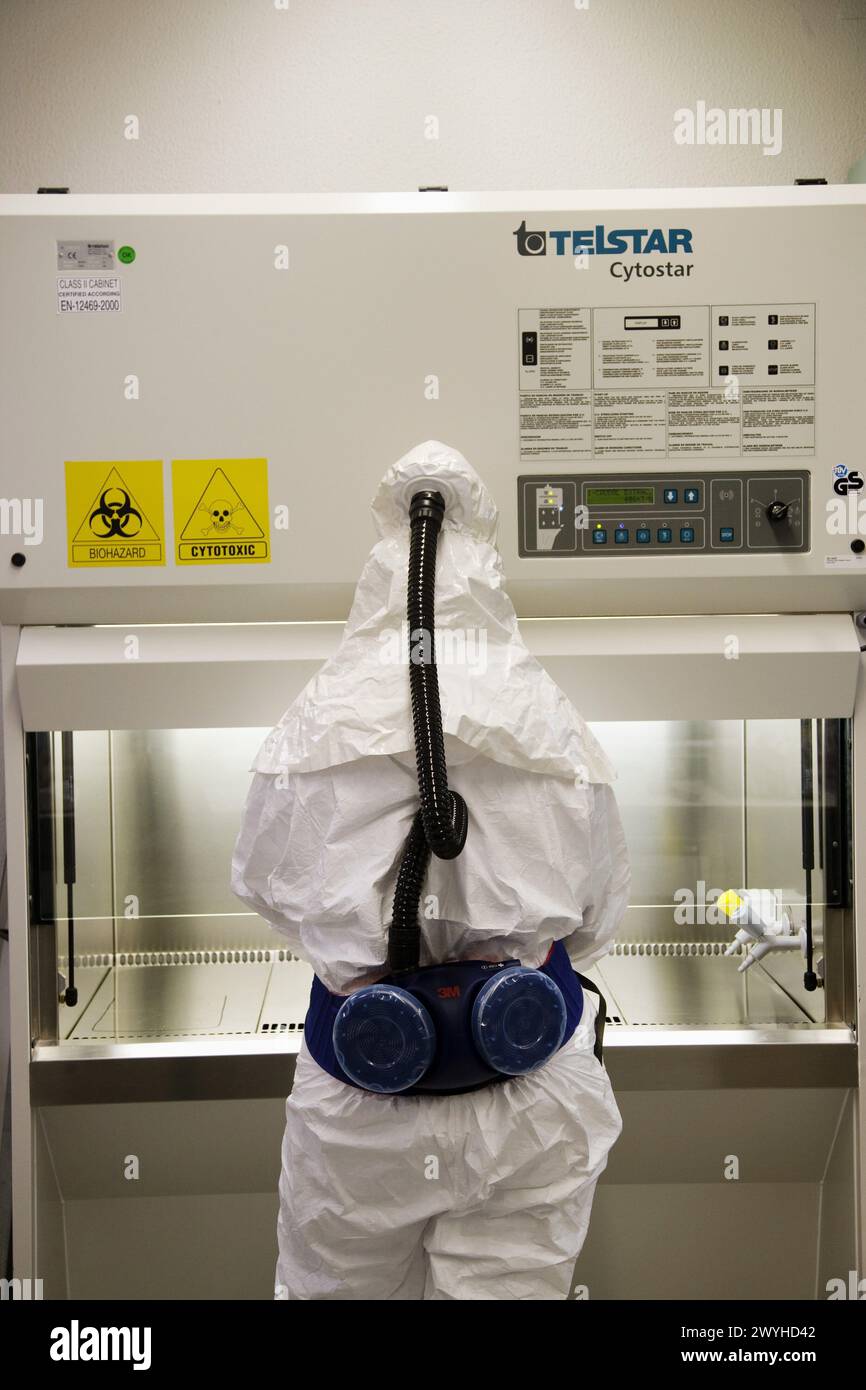 Microbiological culture, working in laminar flow cabinet using ...