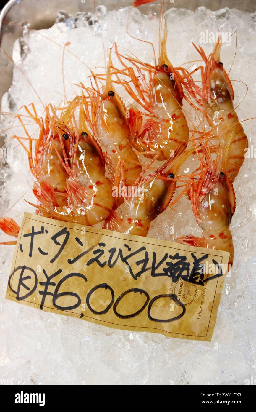Prawn tsukiji fish market tokyo hi-res stock photography and images - Alamy