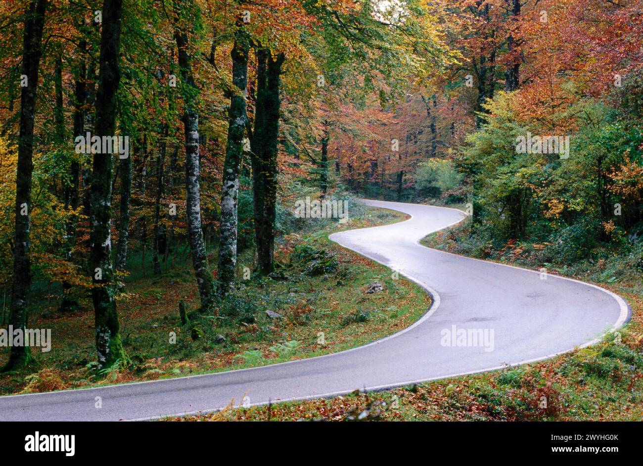 Sierra de aralar gipuzkoa hi-res stock photography and images - Alamy