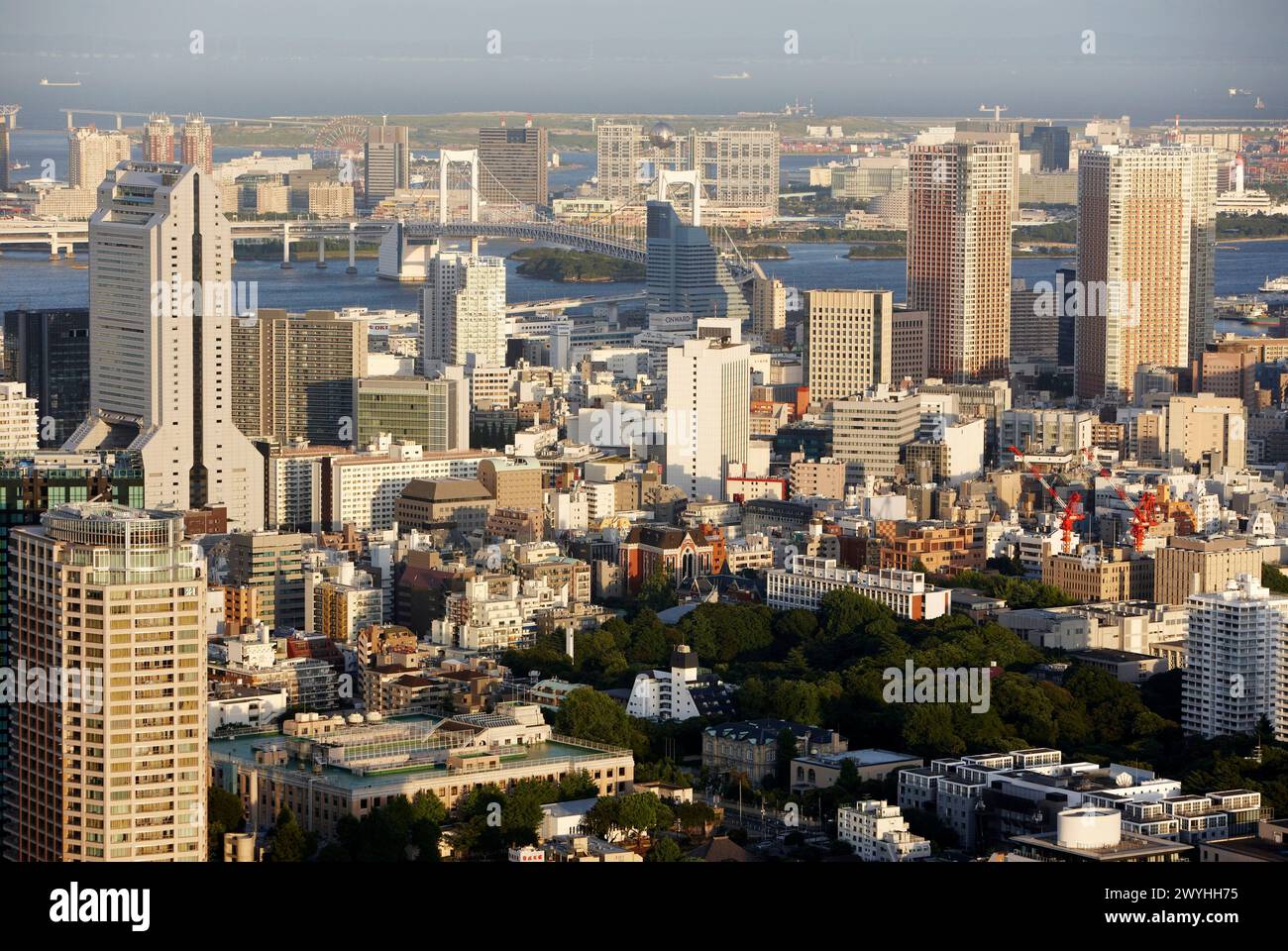 Rainbow bridge, Odaiba, Tokyo City View, Roppongi Hills Mori Tower ...