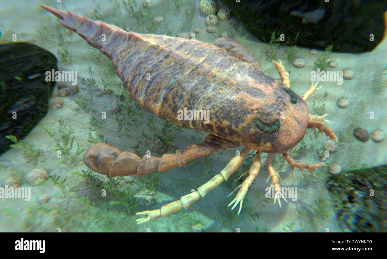 Eurypterus Remipes Illustration Stock Photo - Alamy