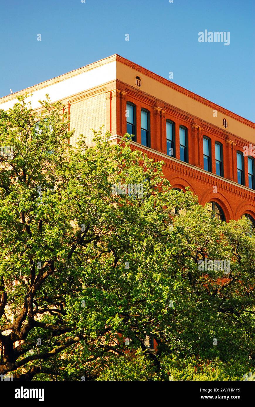 The Book Depository Building, Where Lee Harvey Oswald Assassinated John ...