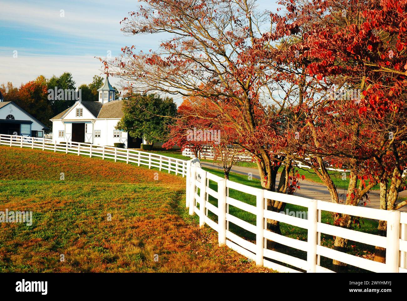 A curving white split rail fence leads past colorful autumn foliage at ...