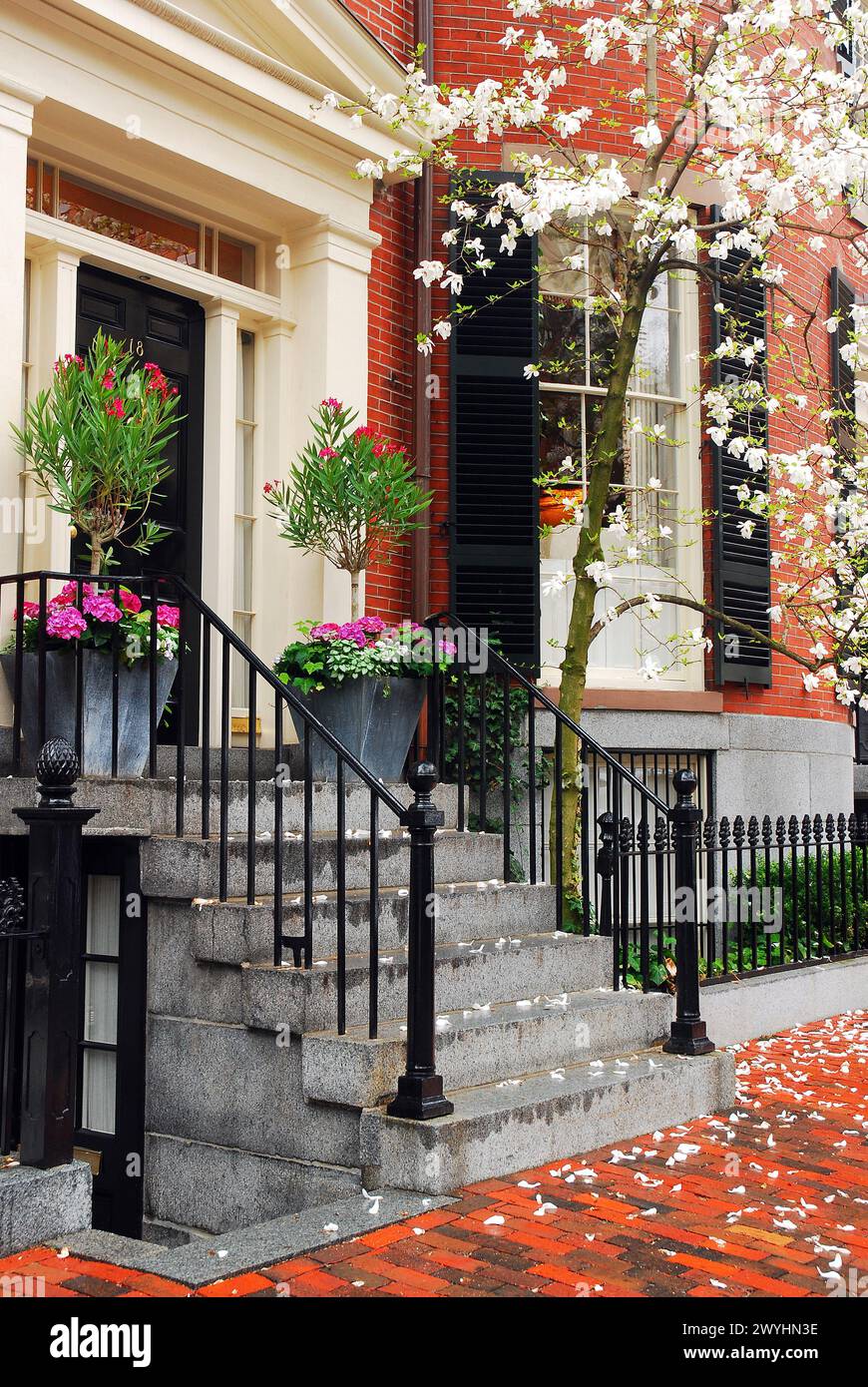 Cherry blossoms, dogwood and other flowering plants bloom i front of ...