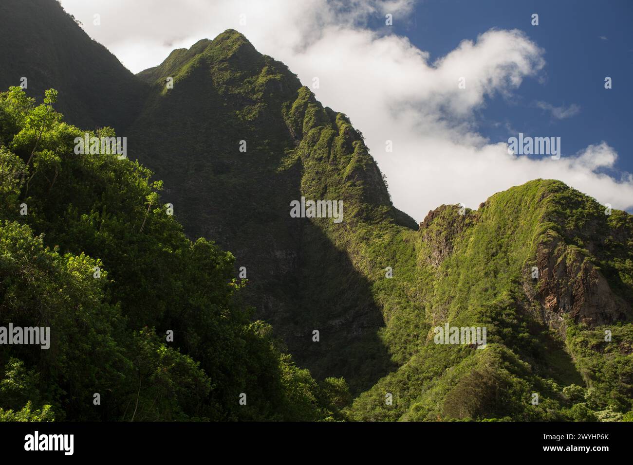 Kepaniwai Park, the aisian heritage gardens on the island of ...