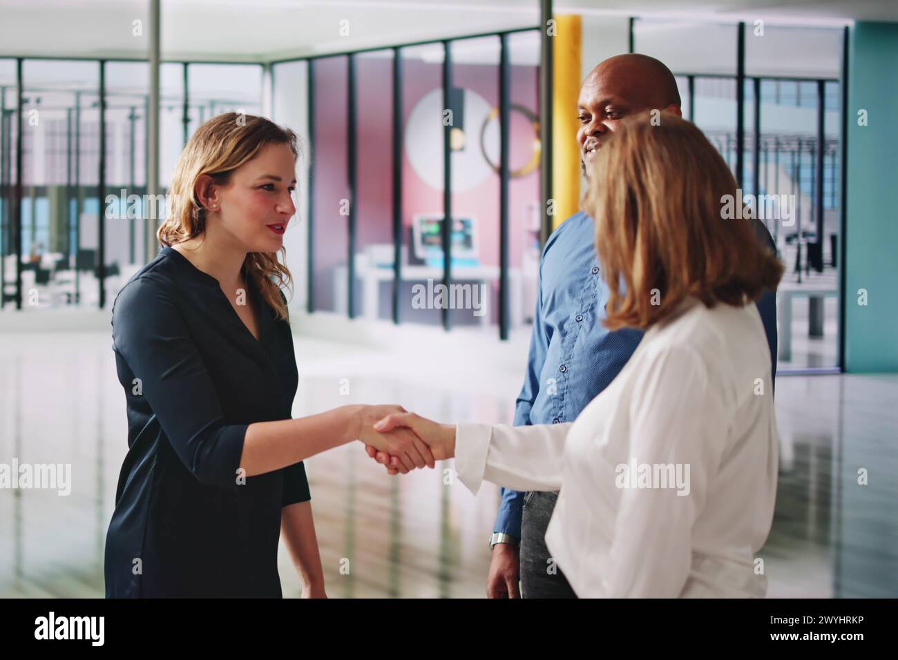 Diverse Business Persons Shaking Hands. Group Handshake Stock Photo - Alamy