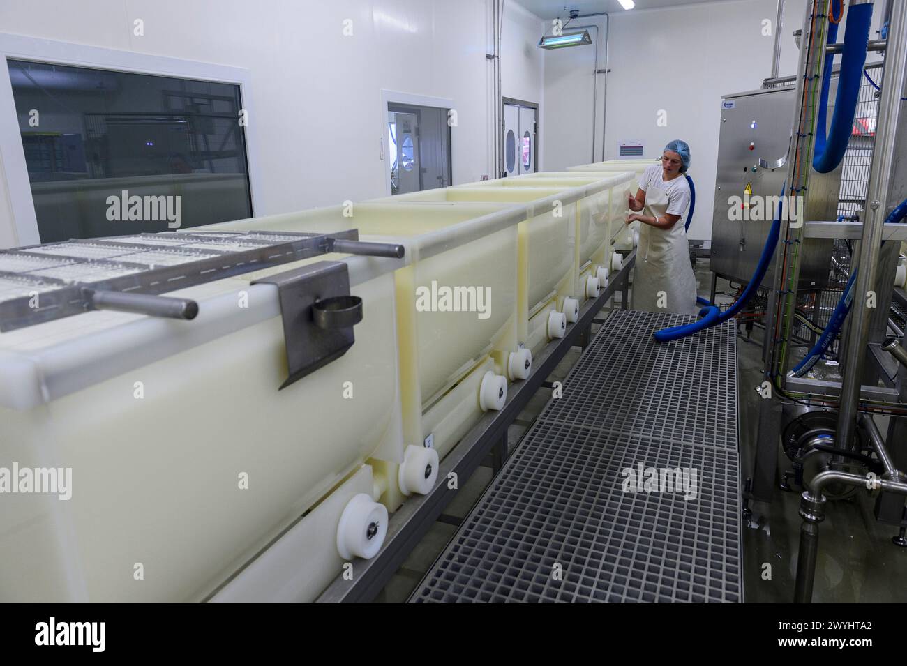 Maroilles is frech AOC approved cow's milk made in northern France ...