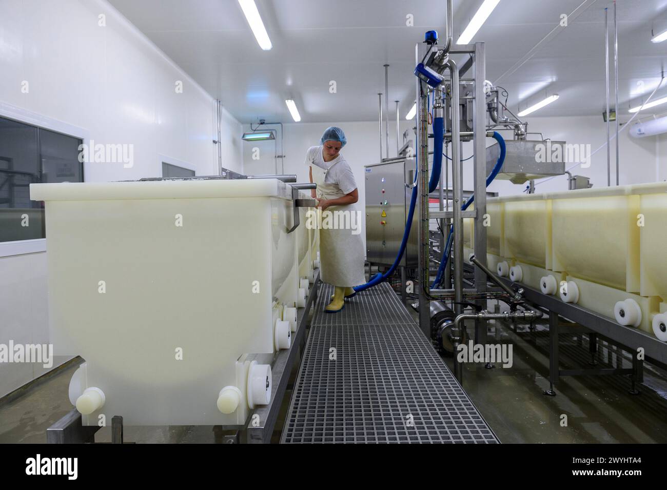 Maroilles is frech AOC approved cow's milk made in northern France ...