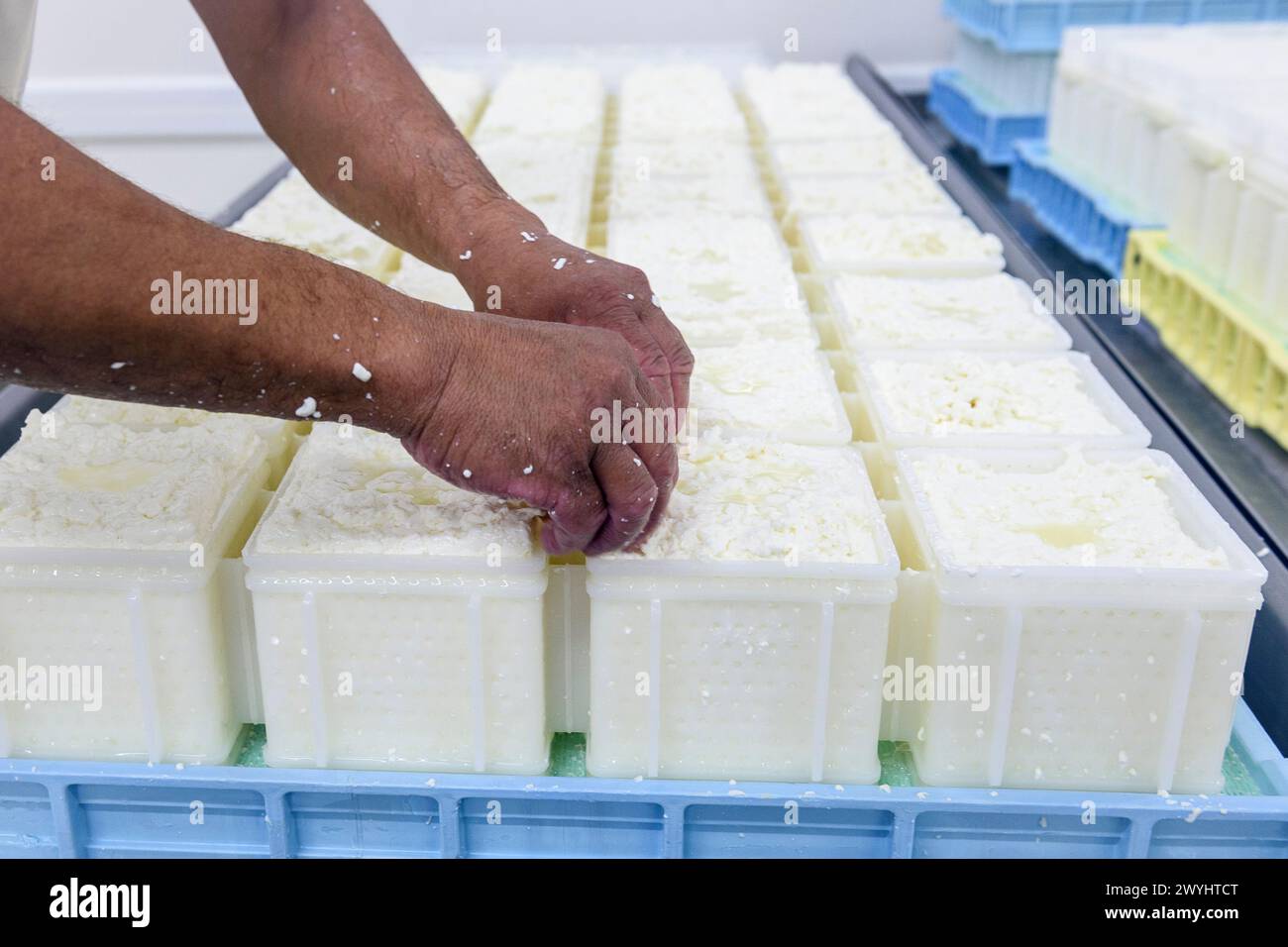 Maroilles is frech AOC approved cow's milk made in northern France ...