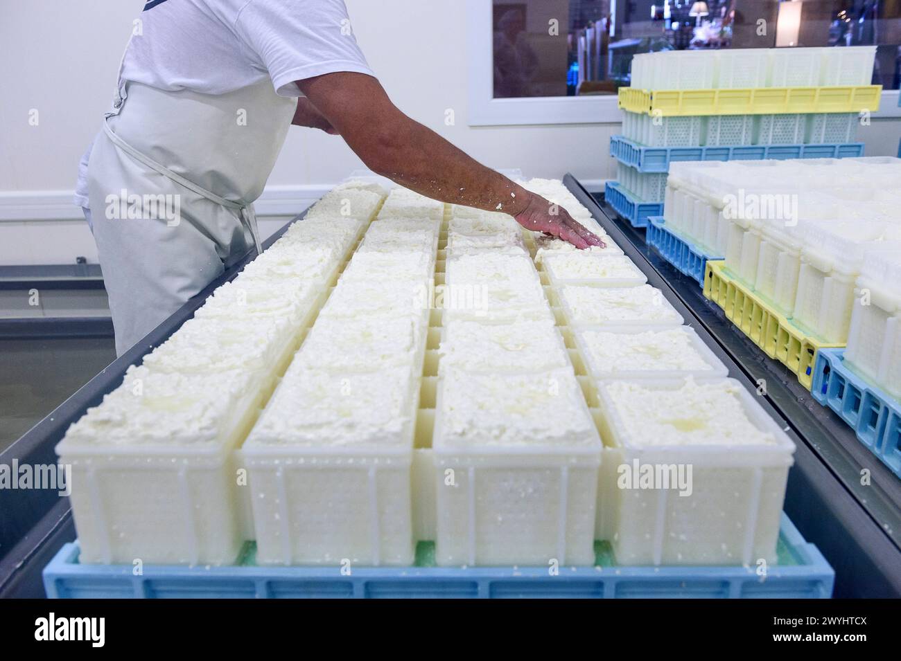 Maroilles is frech AOC approved cow's milk made in northern France ...