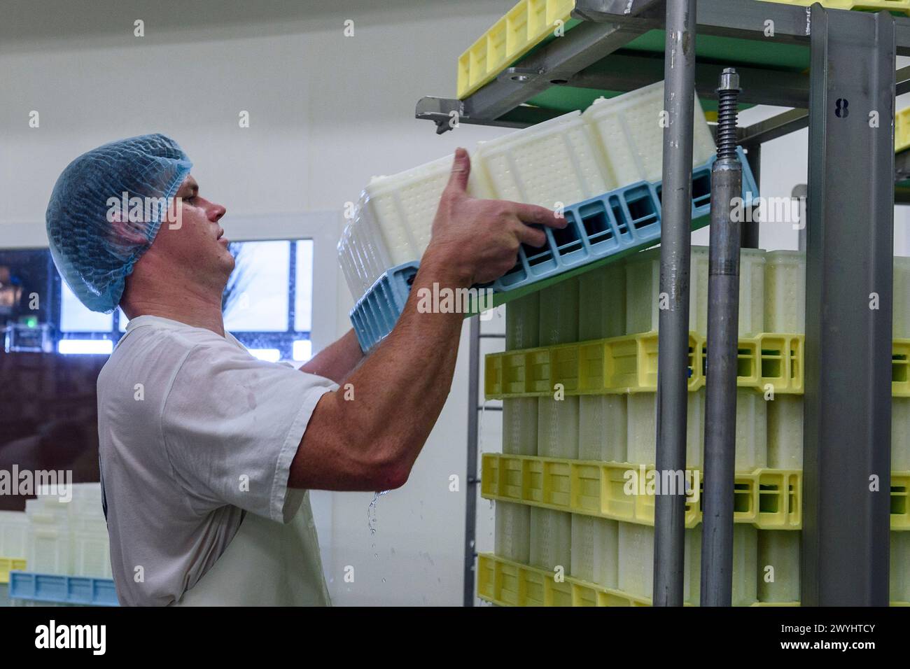 Maroilles is frech AOC approved cow's milk made in northern France ...