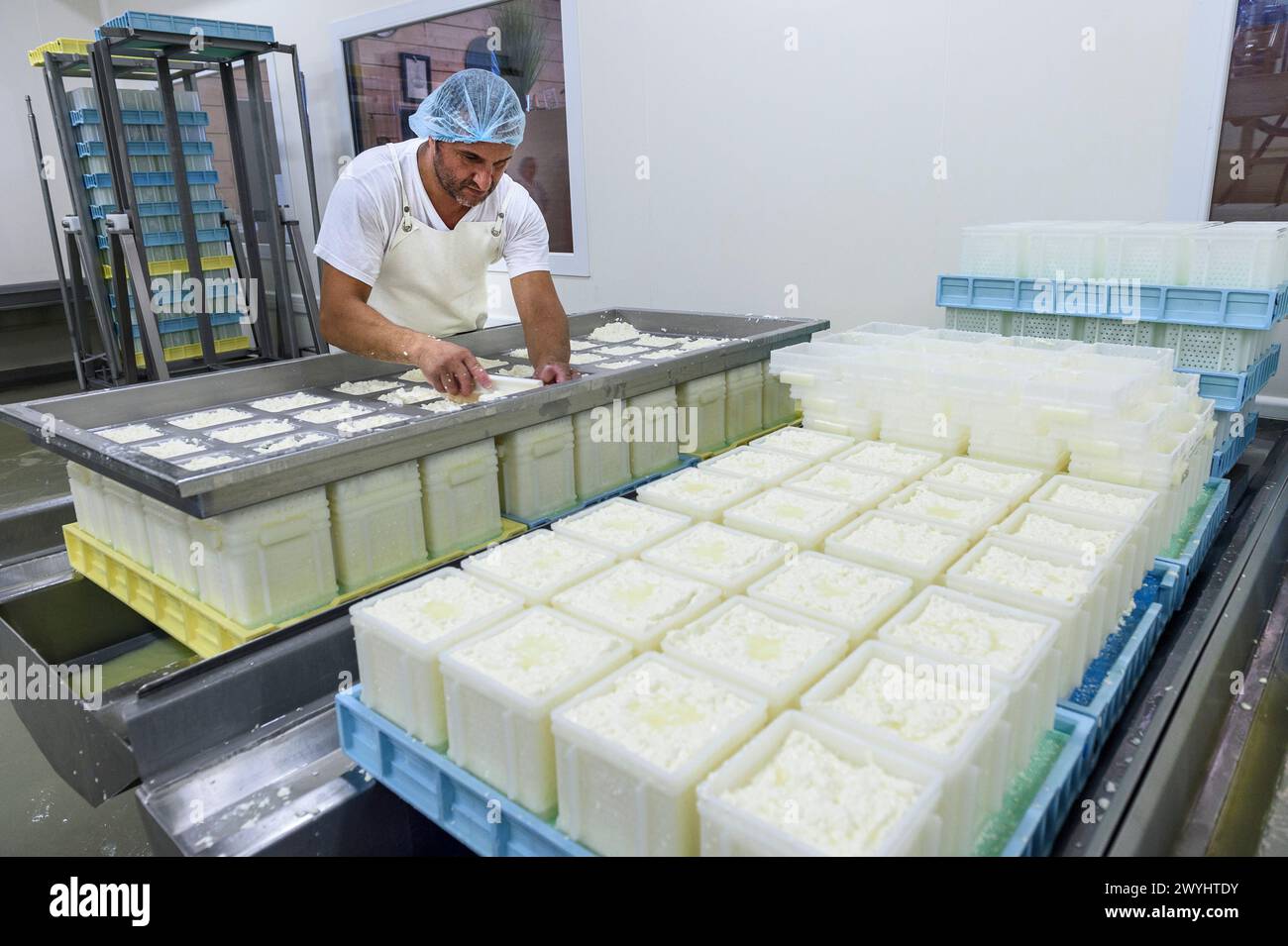 Maroilles is frech AOC approved cow's milk made in northern France ...