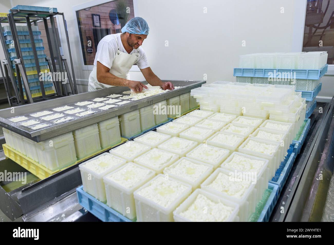 Maroilles is frech AOC approved cow's milk made in northern France ...