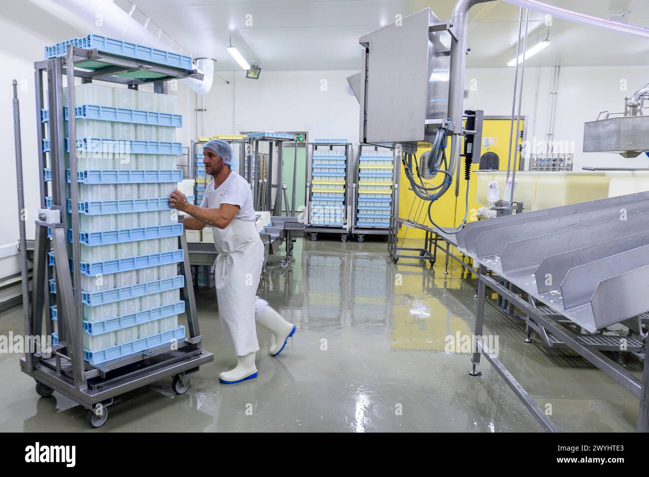 Maroilles is frech AOC approved cow's milk made in northern France ...