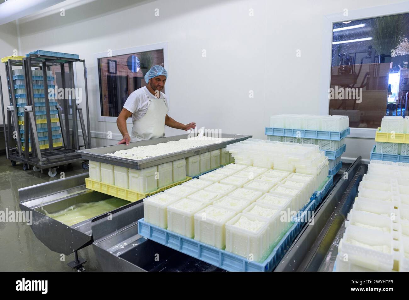 Maroilles is frech AOC approved cow's milk made in northern France ...