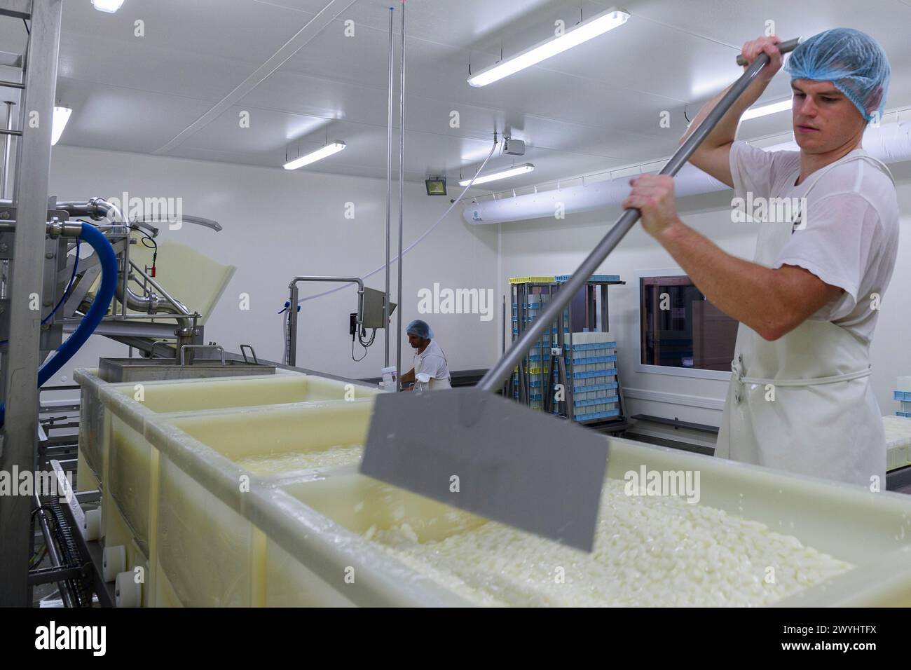 Maroilles is frech AOC approved cow's milk made in northern France ...