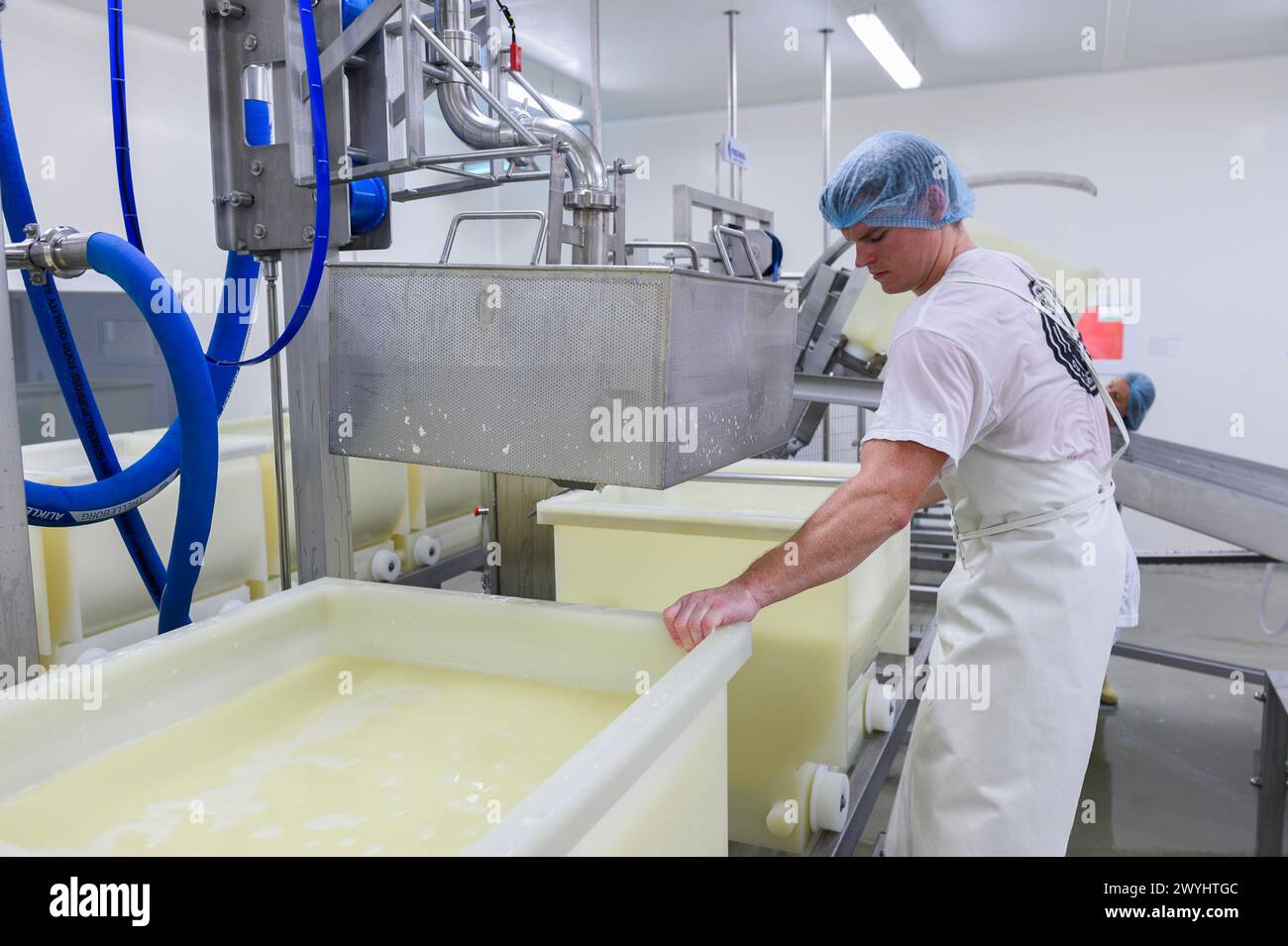 Maroilles is frech AOC approved cow's milk made in northern France ...