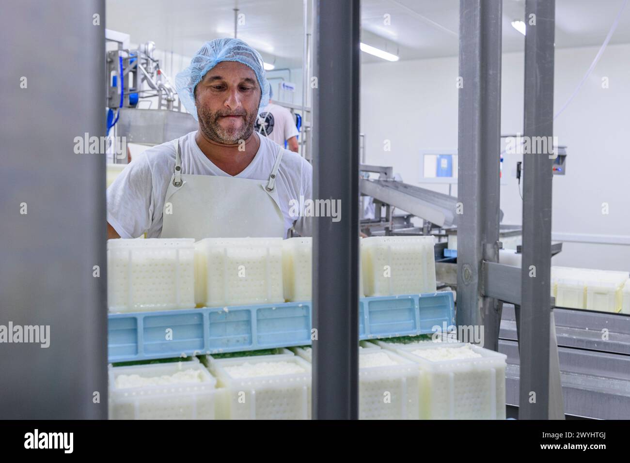 Maroilles is frech AOC approved cow's milk made in northern France ...