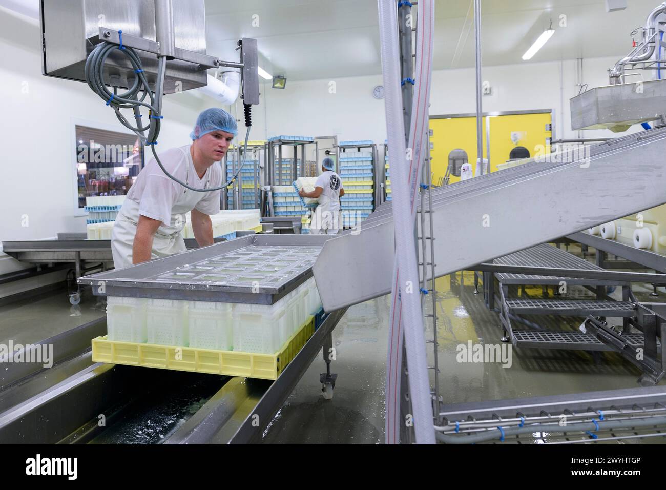 Maroilles is frech AOC approved cow's milk made in northern France ...