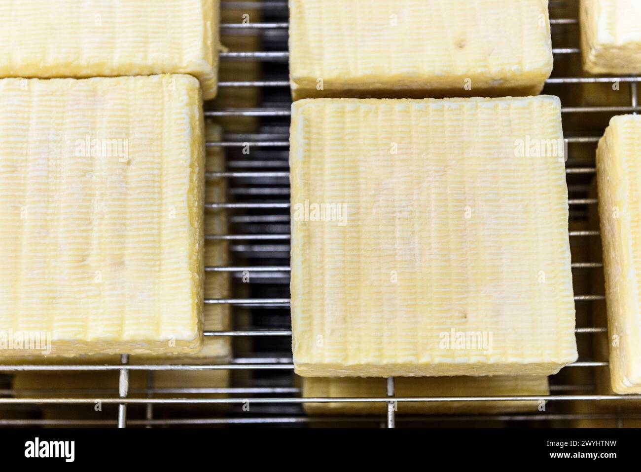 Lait et fromage hi-res stock photography and images - Alamy