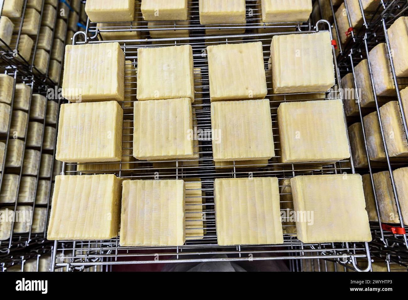 Maroilles is frech AOC approved cow's milk made in northern France ...