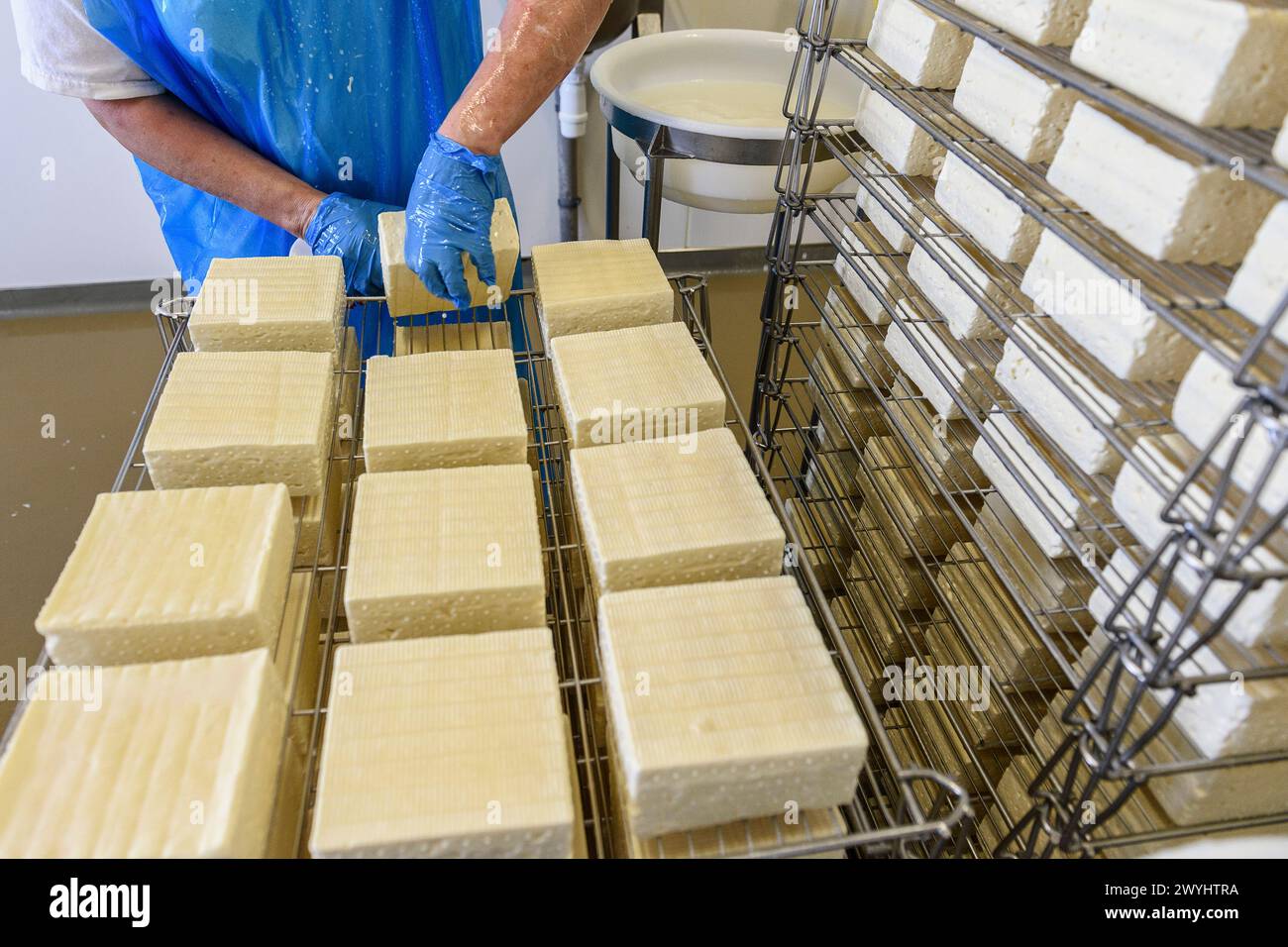 Fabrication du fromage hi-res stock photography and images - Alamy