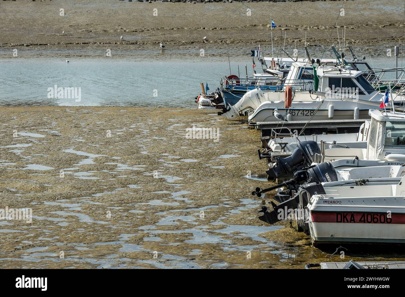 Beach, pharo and cabins in Petit-Fort Philippe nearby Gravelines La ...