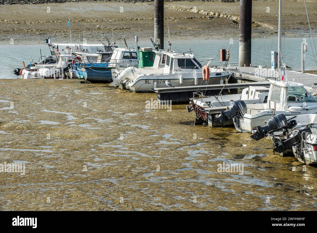 Beach, pharo and cabins in Petit-Fort Philippe nearby Gravelines La ...