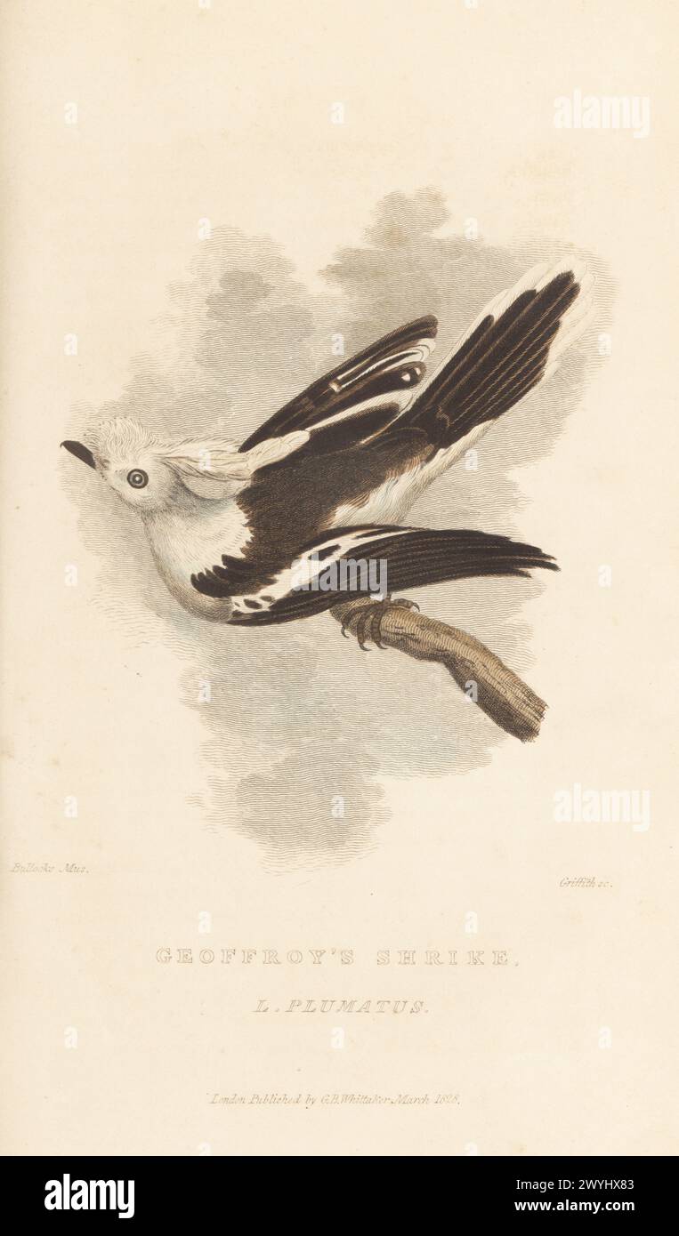 Riddles museum hi-res stock photography and images - Alamy