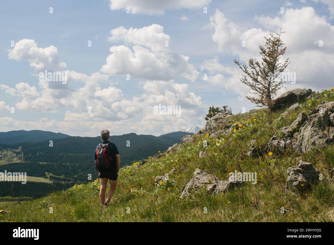 Bob creek wildland alberta hi-res stock photography and images - Alamy