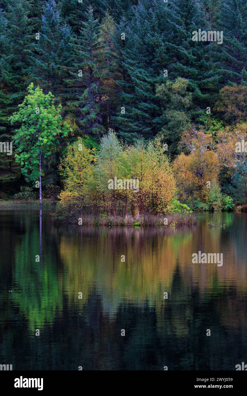Small island of Autumnal trees, Glencoe Lochan in Scottish highlands ...