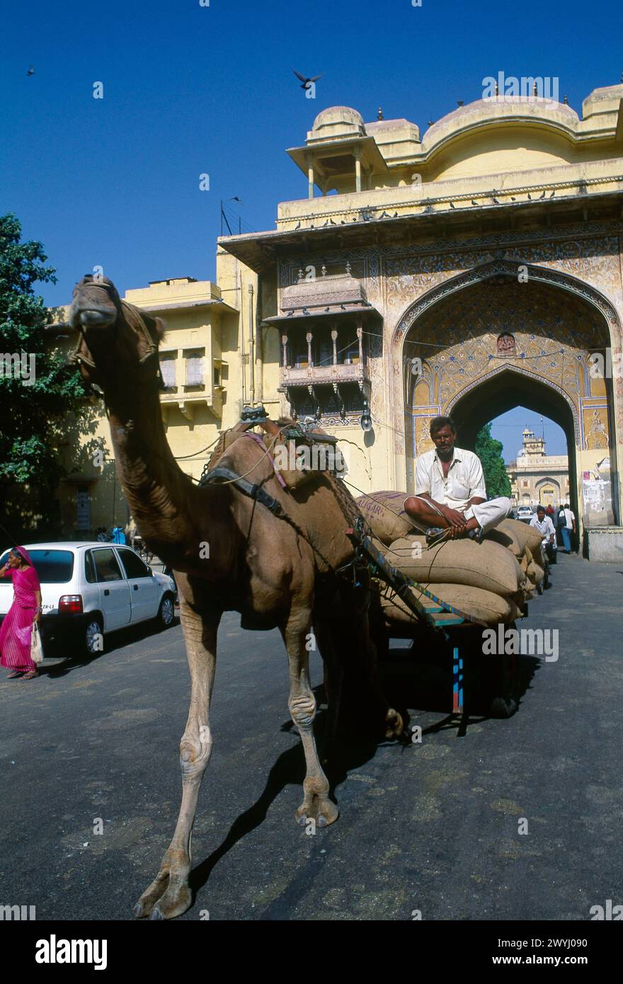 Camel, Naqqar Darwaza Gate, taken in 1999, Jodhpur, Rajasthan; India ...