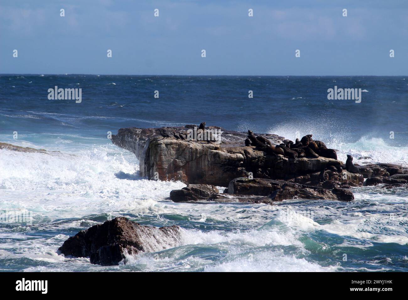 Atlantic wind cycle hi-res stock photography and images - Alamy