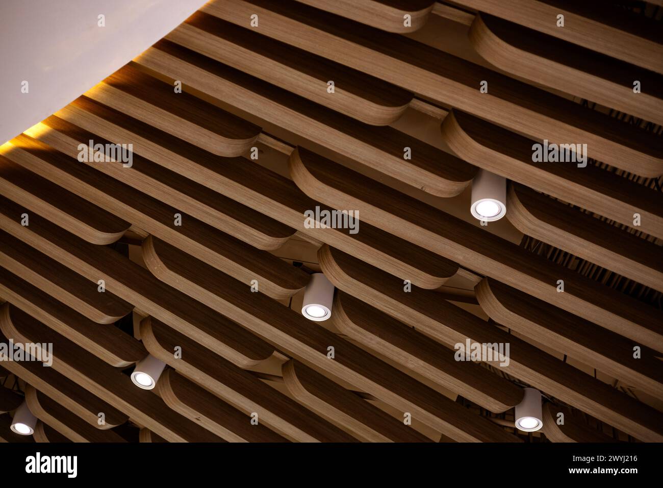 Smoke detector and LED ceiling lights. Ceiling moldings with an ...