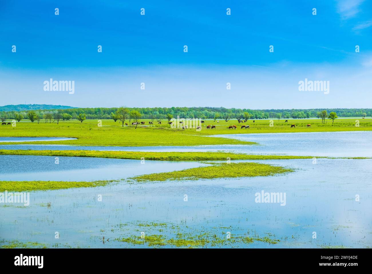 Osekovo hi-res stock photography and images - Alamy