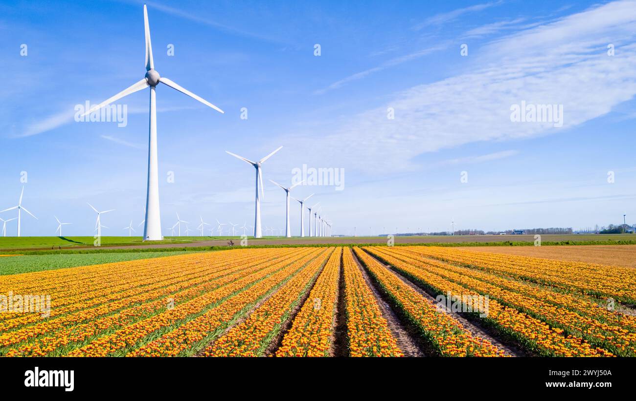 A picturesque landscape unfolds before our eyes as colorful flowers sway in the wind, with ...