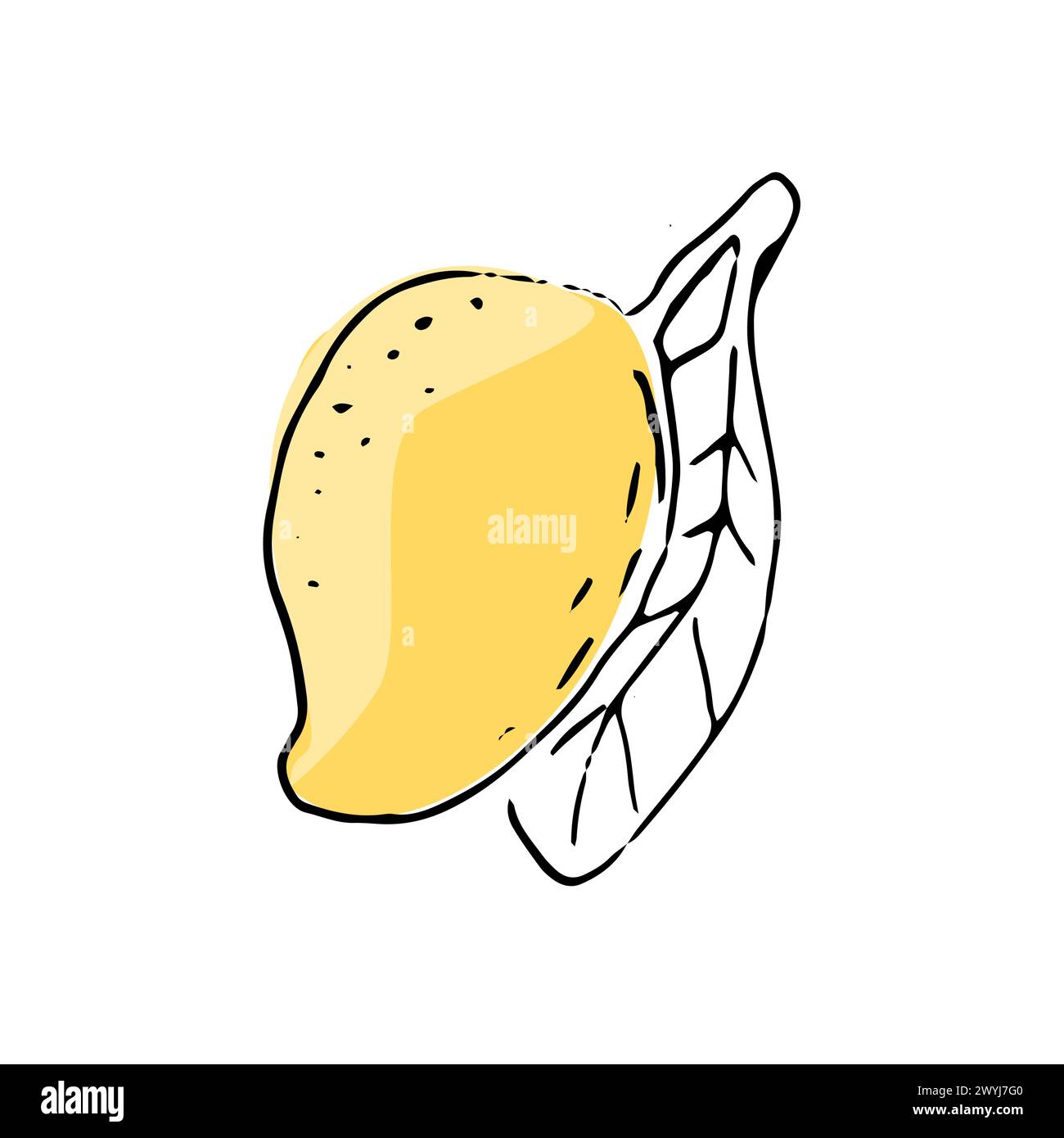 Hand drawn Mango fruit in sketch art. Vector illustration of tropical ...