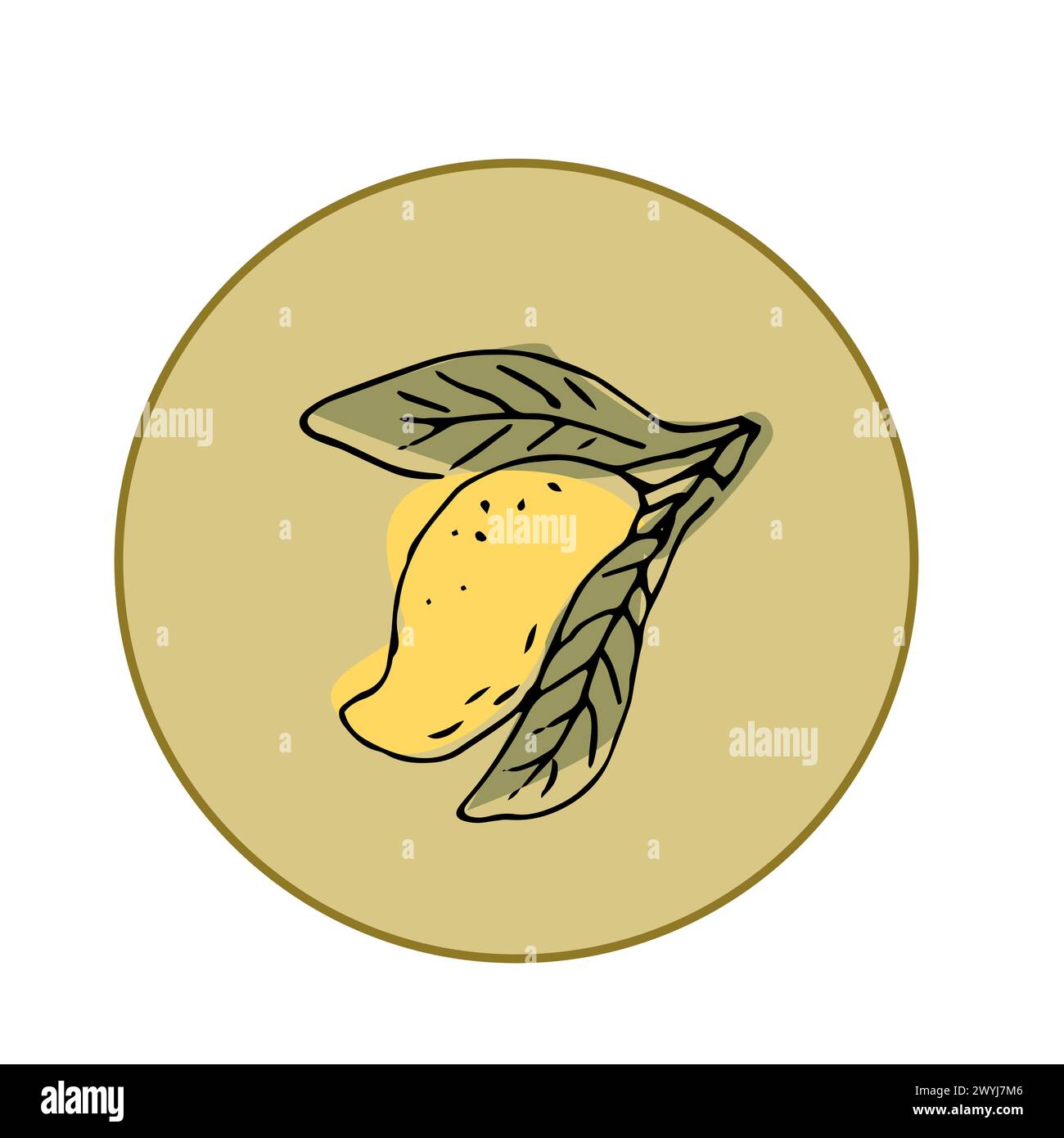 Labels with mango fruit sliced. Hand drawn fruit in sketch art ...