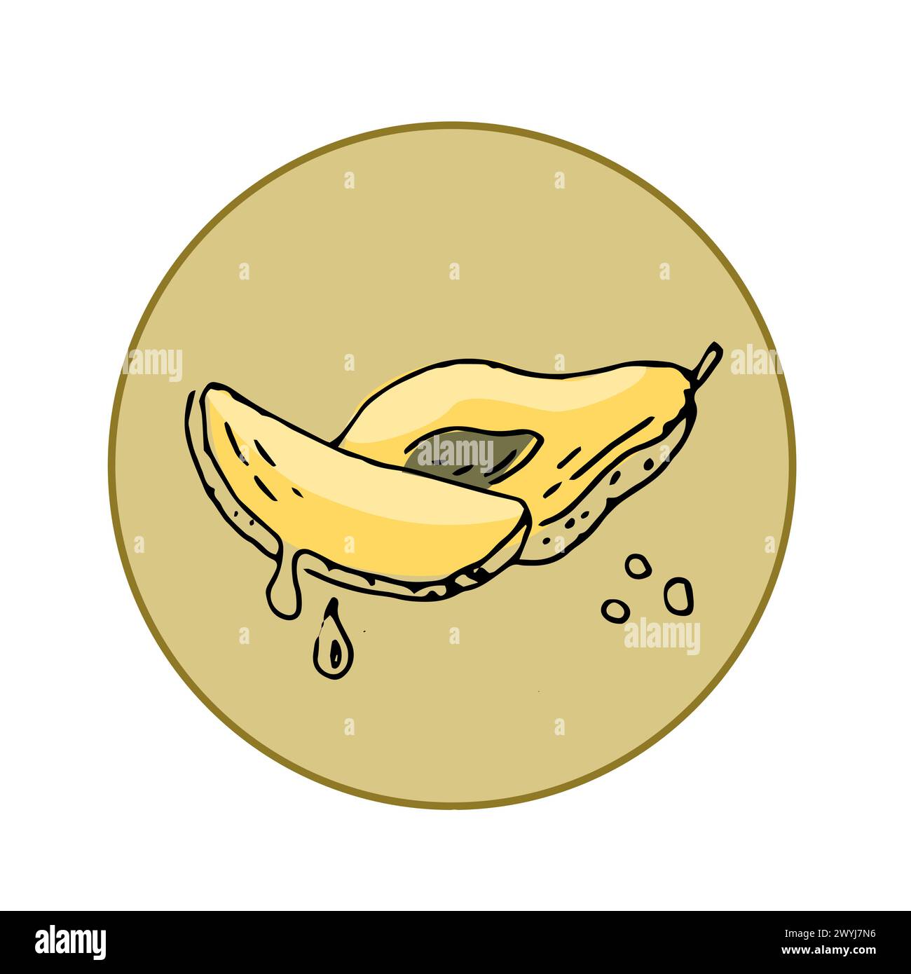 Labels with mango fruit sliced. Hand drawn fruit in sketch art ...