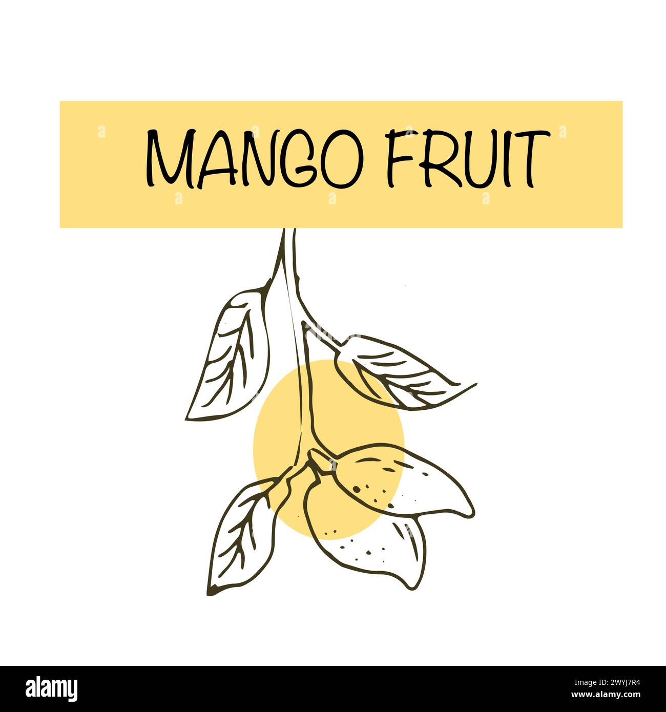 Hand drawn Mango fruit label. Vector illustration of tropical fruit for ...