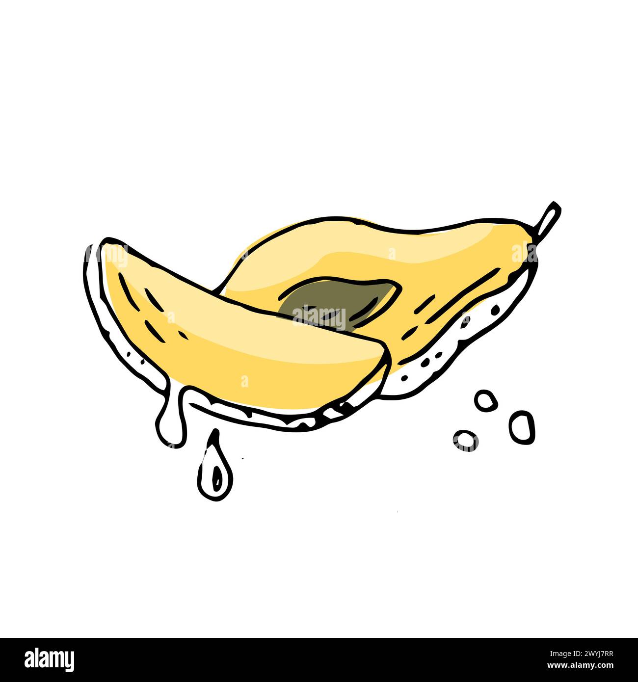 Hand drawn sliced Mango fruit in sketch art illustration. Vector ...
