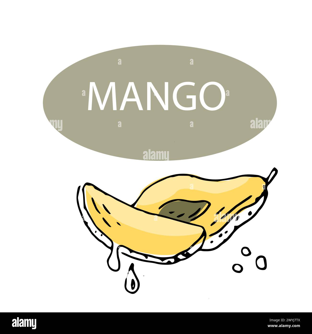 Mango sliced and half fruit ink sketch illustration. Vector ...