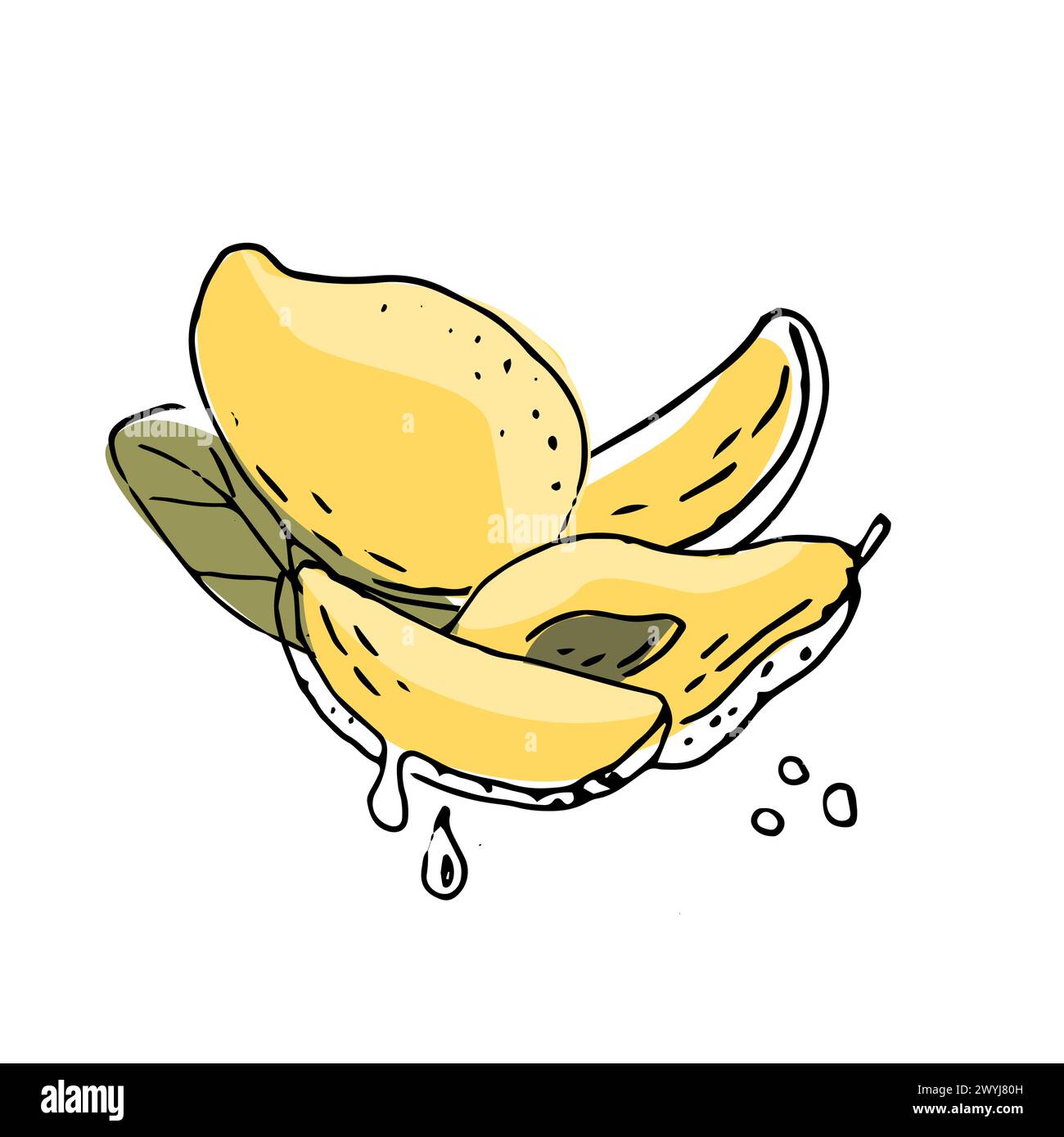 Mango sliced and half fruit ink sketch illustration. Vector ...