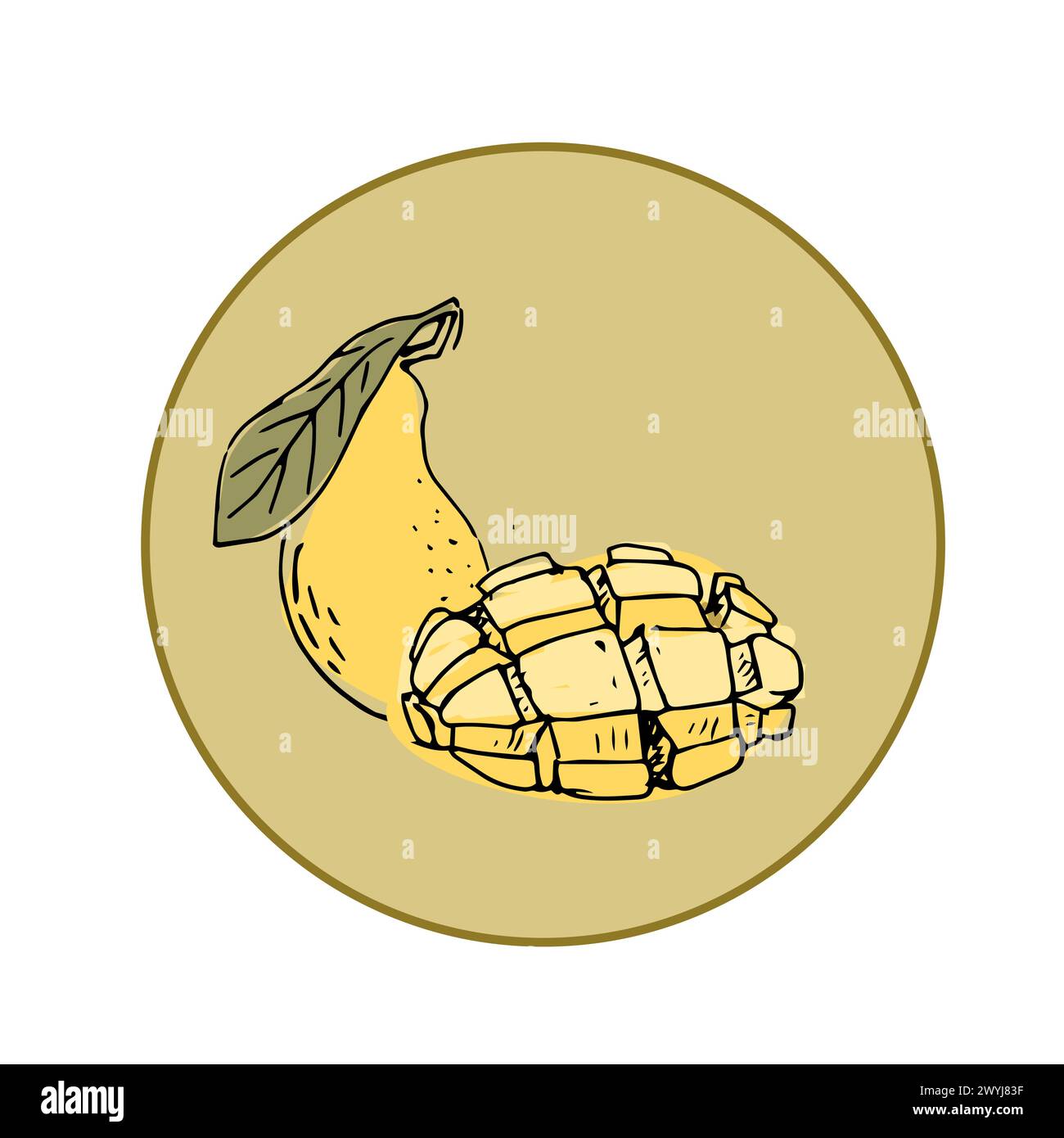 Labels with mango fruit sliced. Hand drawn fruit in sketch art ...