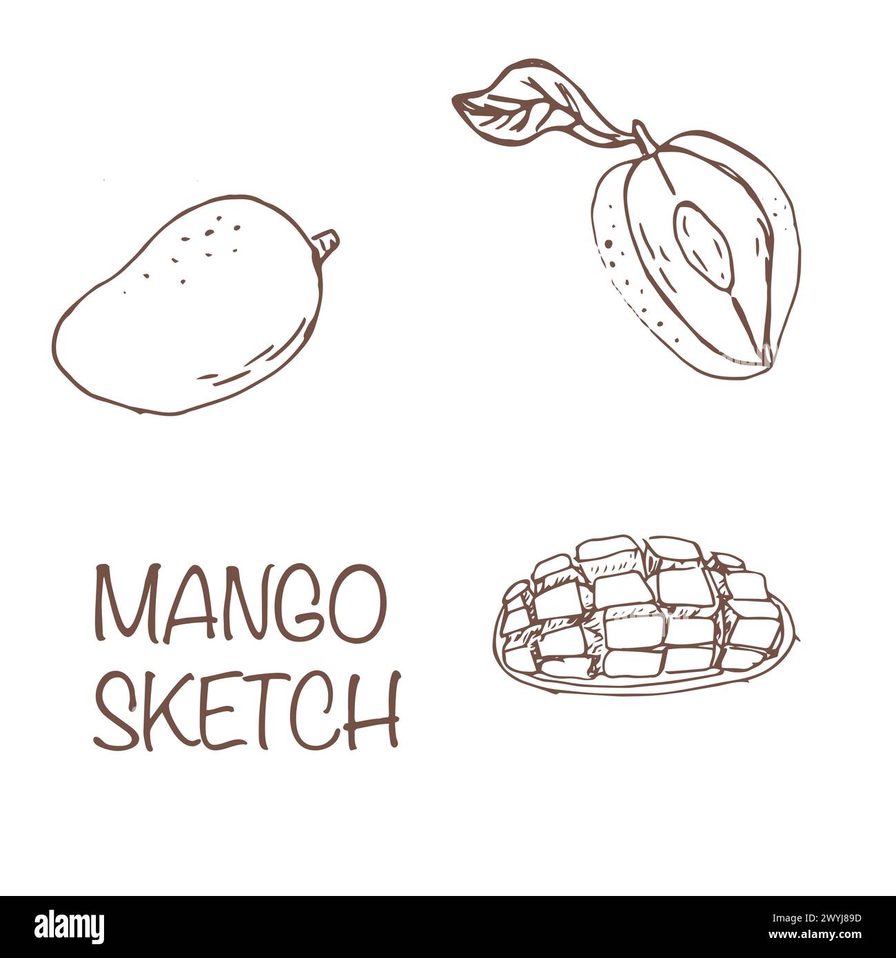 Set of mango sketch in different sliced. Vector illustration of ...