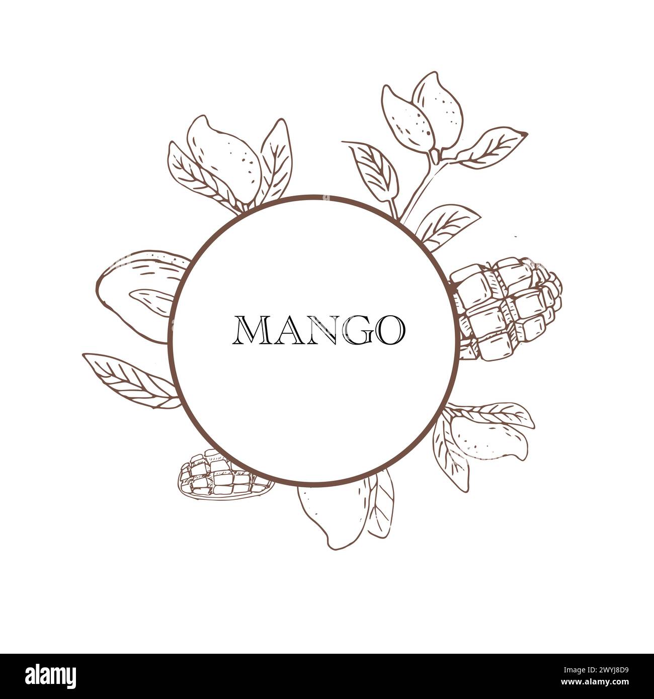 Hand drawn Mango fruit with round - outline banner. Vector illustration ...