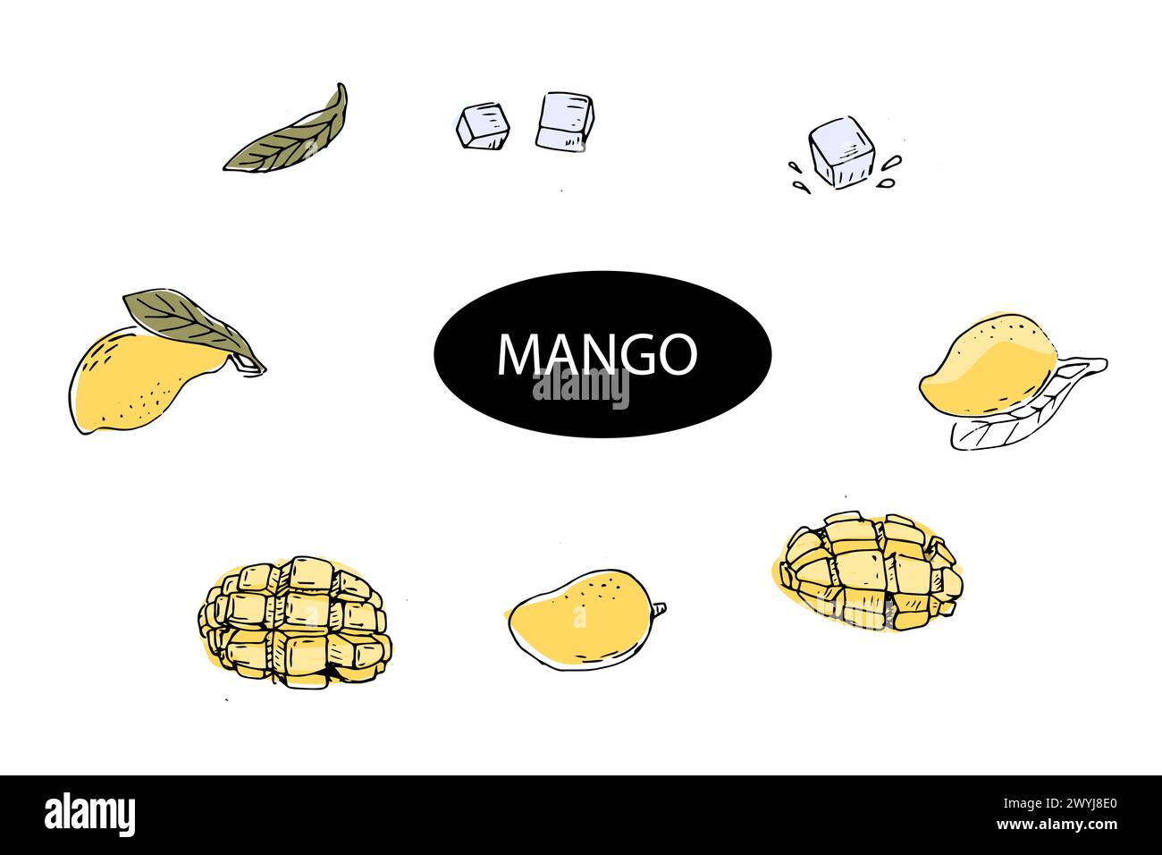 Set of Hand drawn Mango fruit and slices with ice in sketch art colored ...